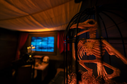 Stormbreaker (Pirate) Escape Game